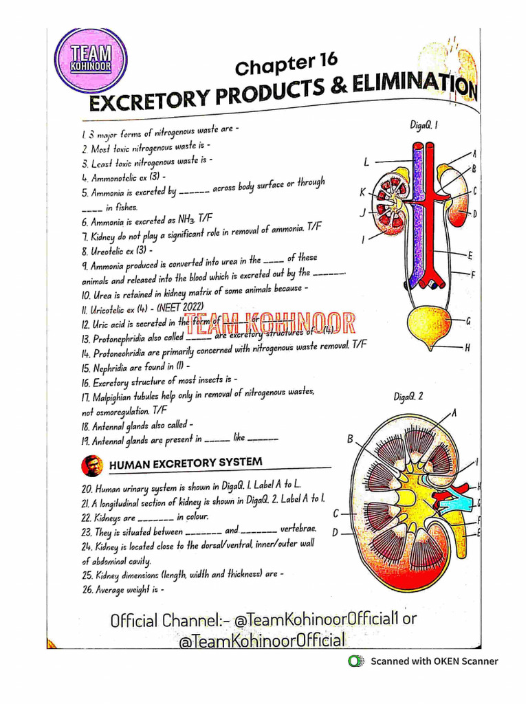 Biohack-5th-Edition Excretory & Locomotion | PDF