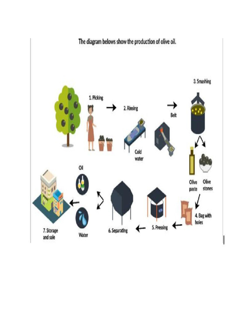 Lesson 10 - Writing | PDF