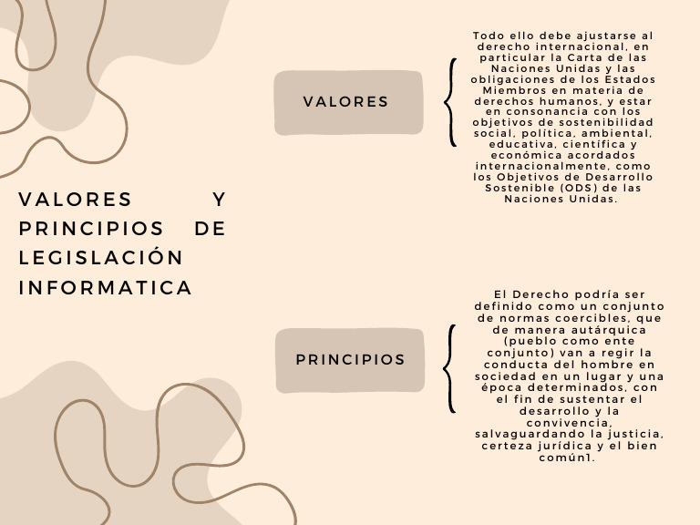 Mapa Conceptual de Valores y Pricipios de La Legislacion Informatica | PDF