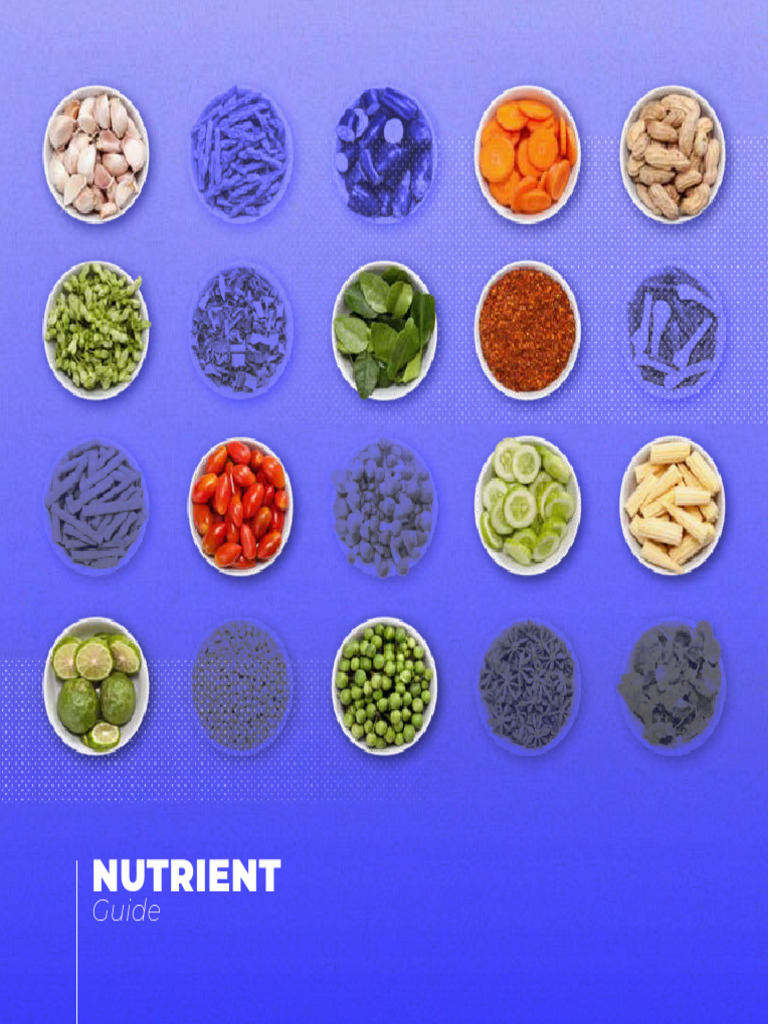 Guia de Nutrientes 2022 - EN | PDF | Nutrients | Foods