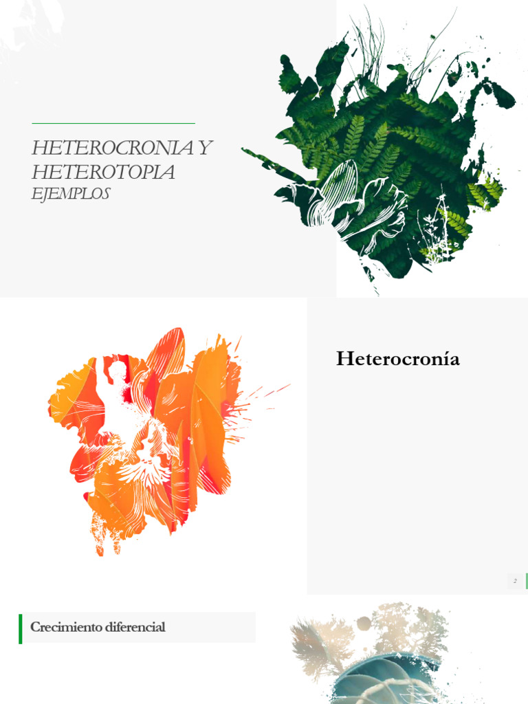 Heterocronía y Heterotopía Ejemplos | PDF | Vertebrados | Evolución