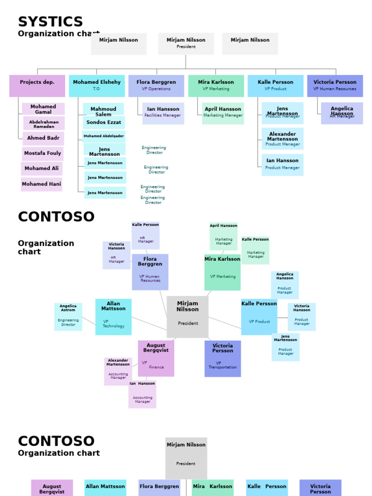 Systics and Contoso Organization Charts | PDF