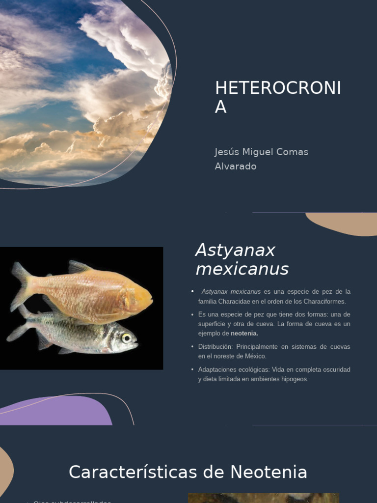 Heterocronia Jesus Comas | PDF | Pato | Alce