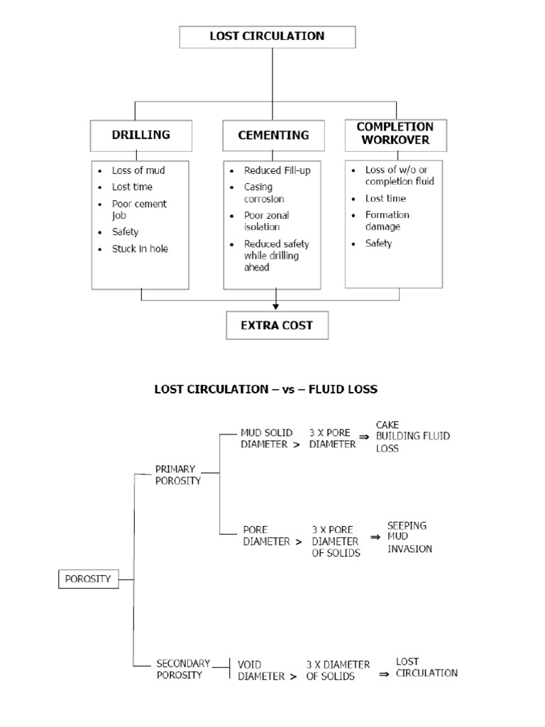 01C2c. SLB Lost Circulation | PDF