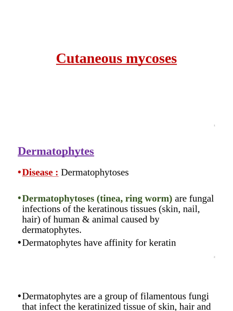 Cutaneous Mycoses 3 | PDF | Microbiology | Mycology