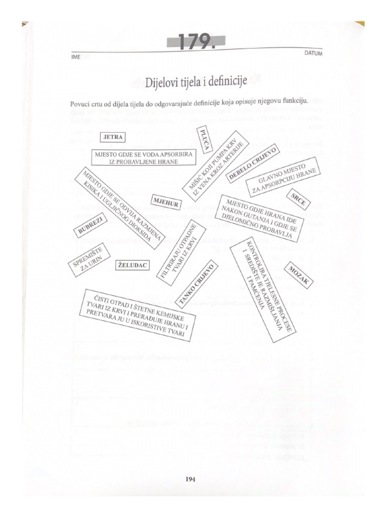 Dijelovi Tijela I Definicije | PDF