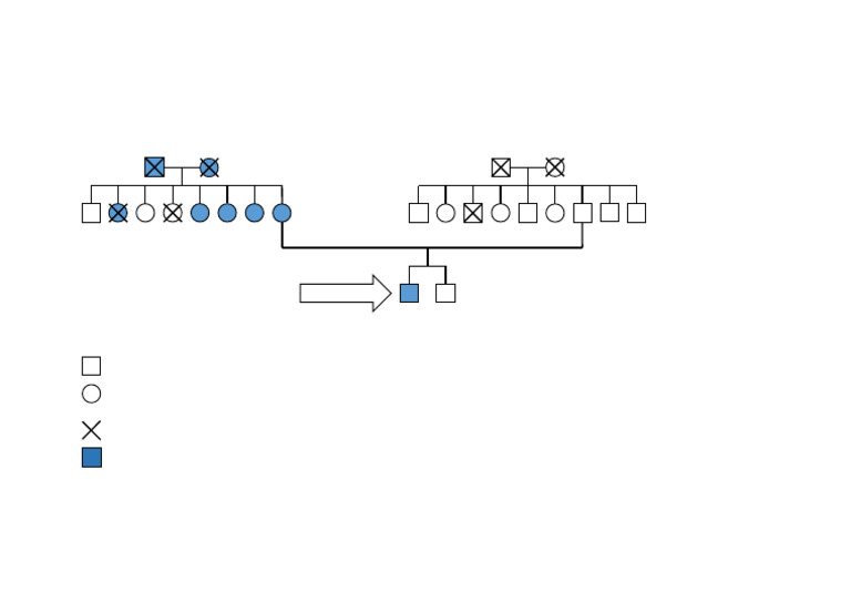 Keluarga - Genogram Keluarga 3 Generasi | PDF