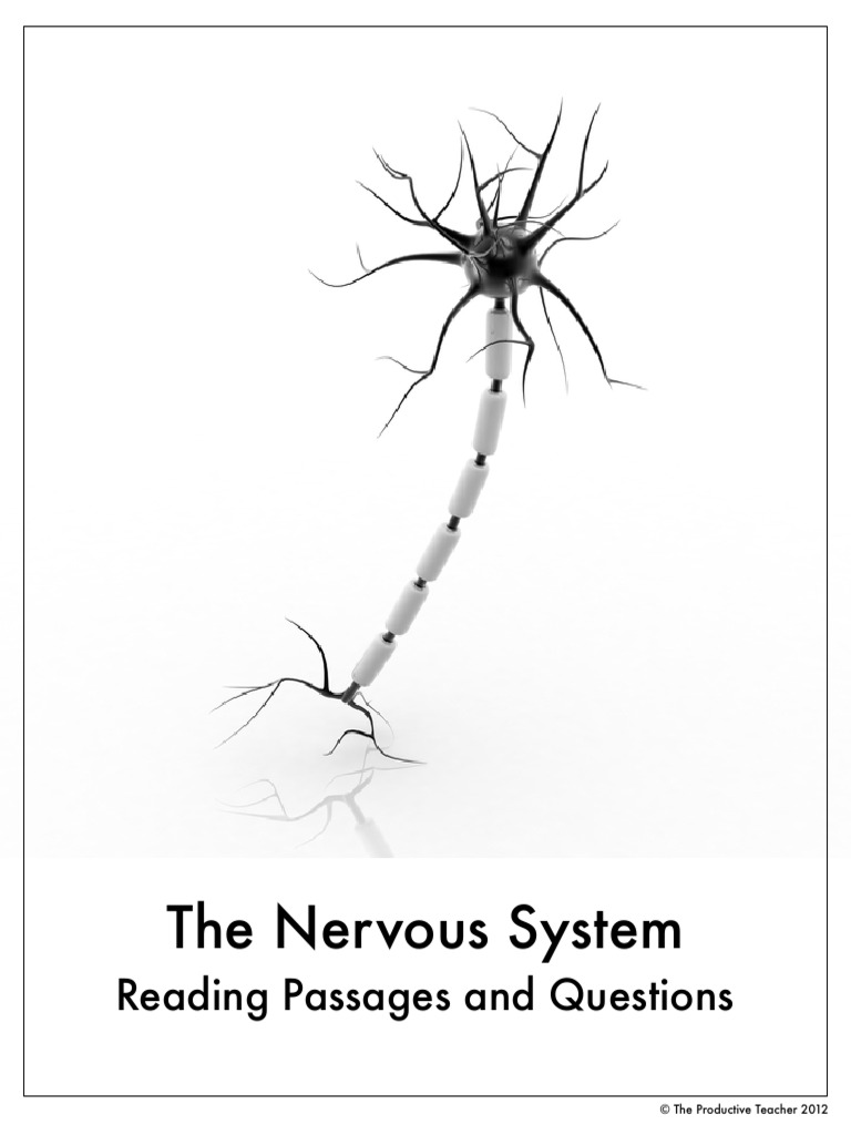 Nervous System Parts and Functions Reading Material | PDF | Central ...