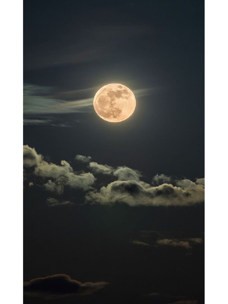 PDFReader 20241210 1604 | PDF