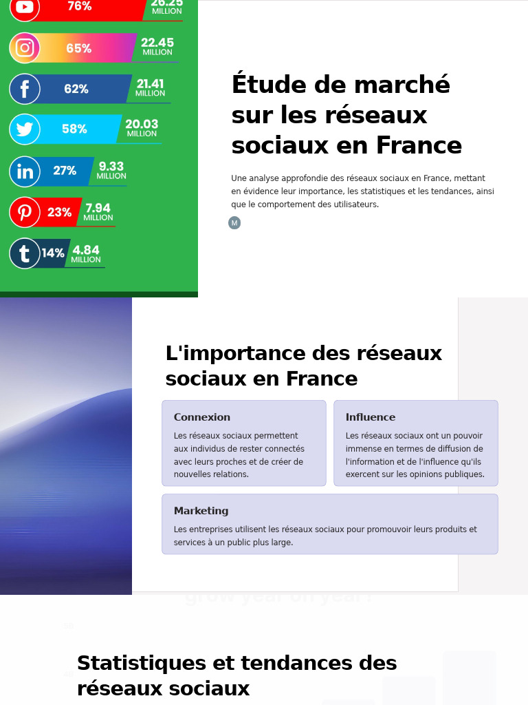 Etude de Marche Sur Les Reseaux Sociaux en France | PDF | Réseaux ...