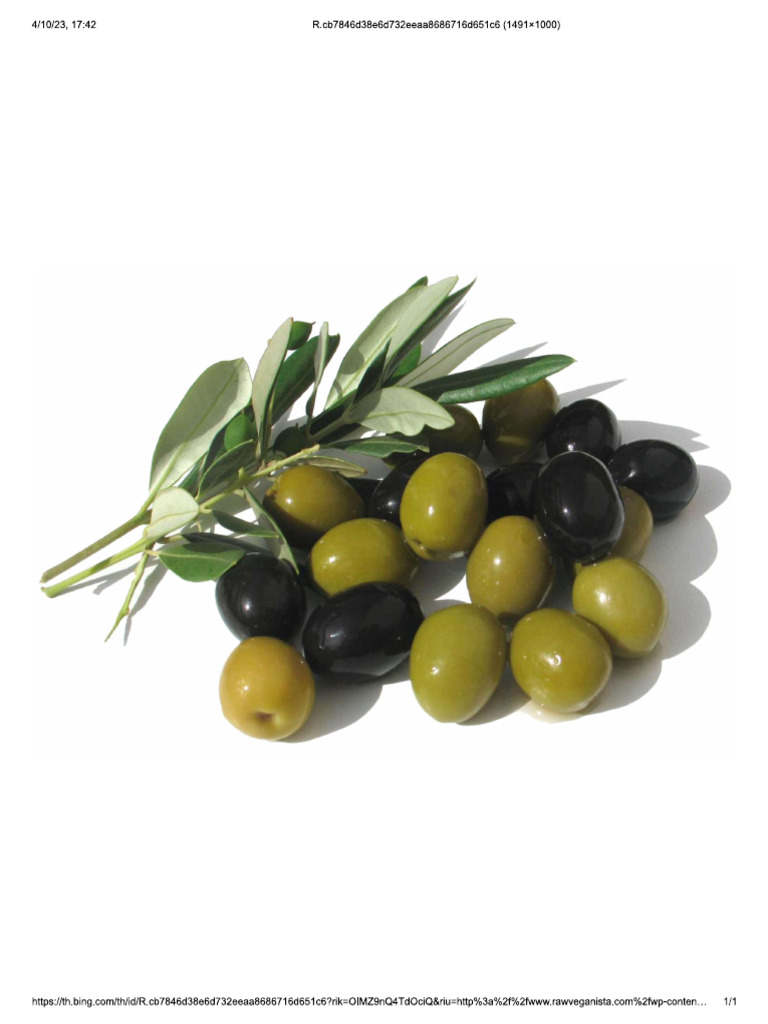 Olives | PDF