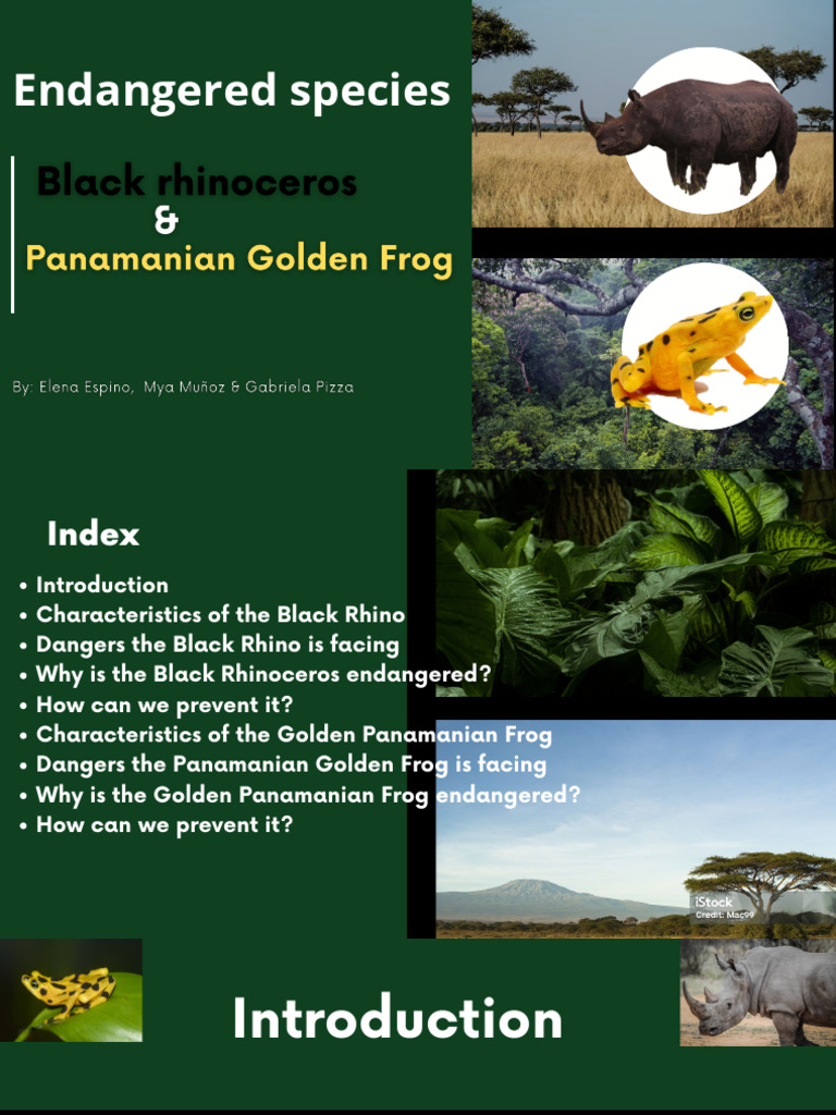 Endangared species (1) | PDF | Rhinoceros | Frog