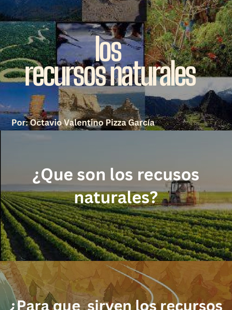 Recursos Naturales: Clasificación y Conservación | PDF