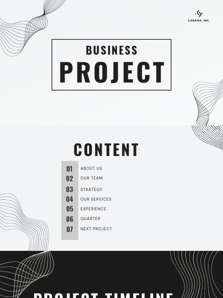 Larana, Inc. Business Overview | PDF