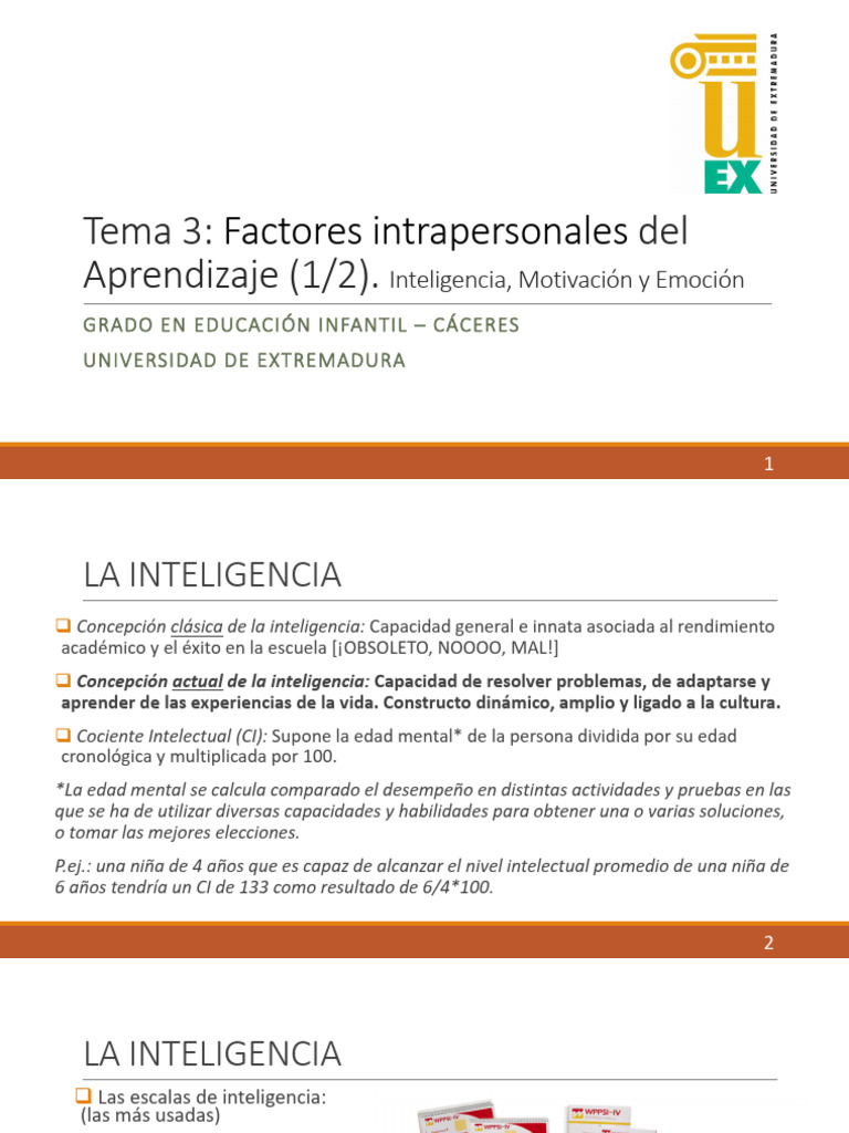 Tema 3. Factores Intrapersonales Del Aprendizaje - P1 | PDF | Las ...