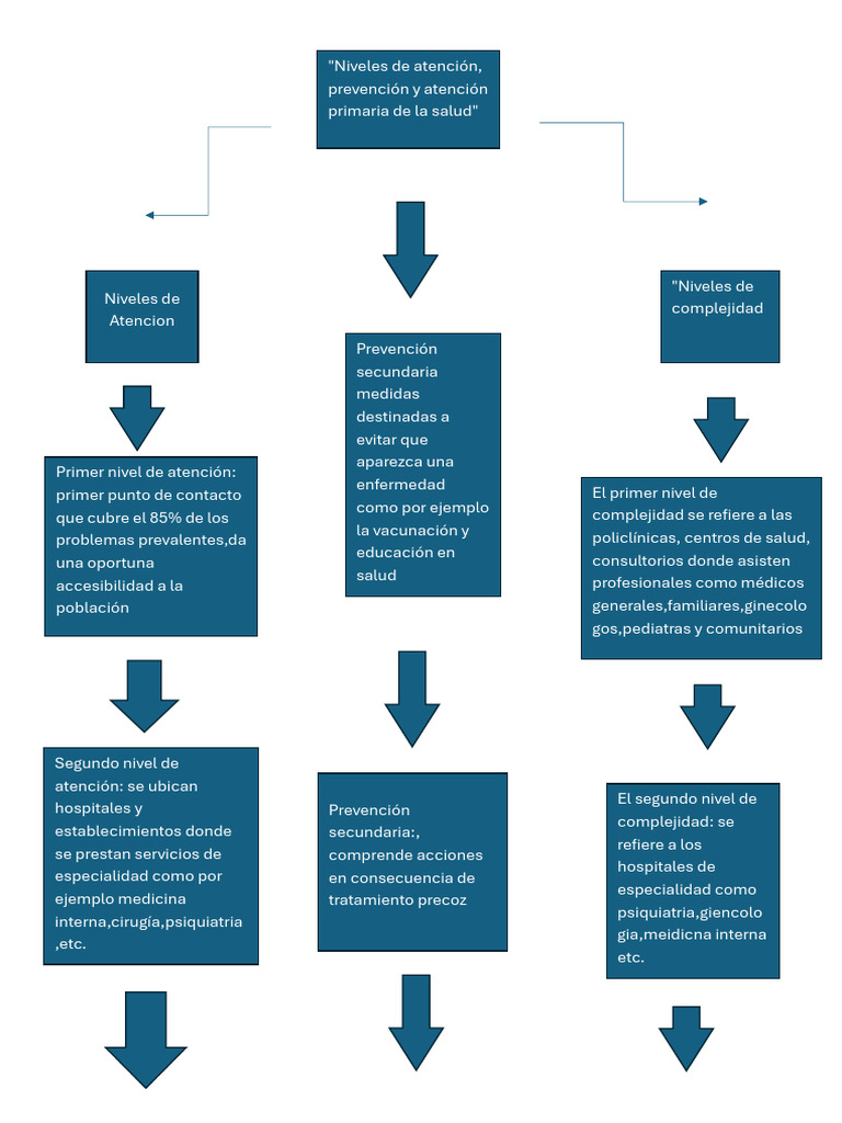 Mapa Conceptual APS | PDF | Asistencia sanitaria preventiva | Hospital
