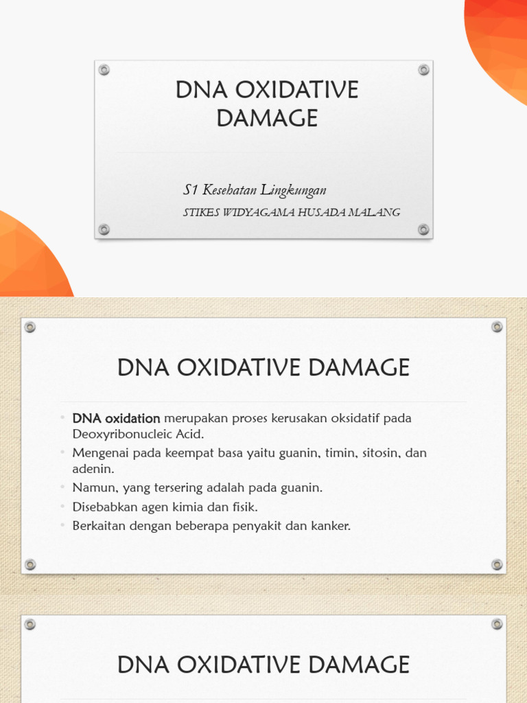 Dna Oxidative Damage 24 | PDF