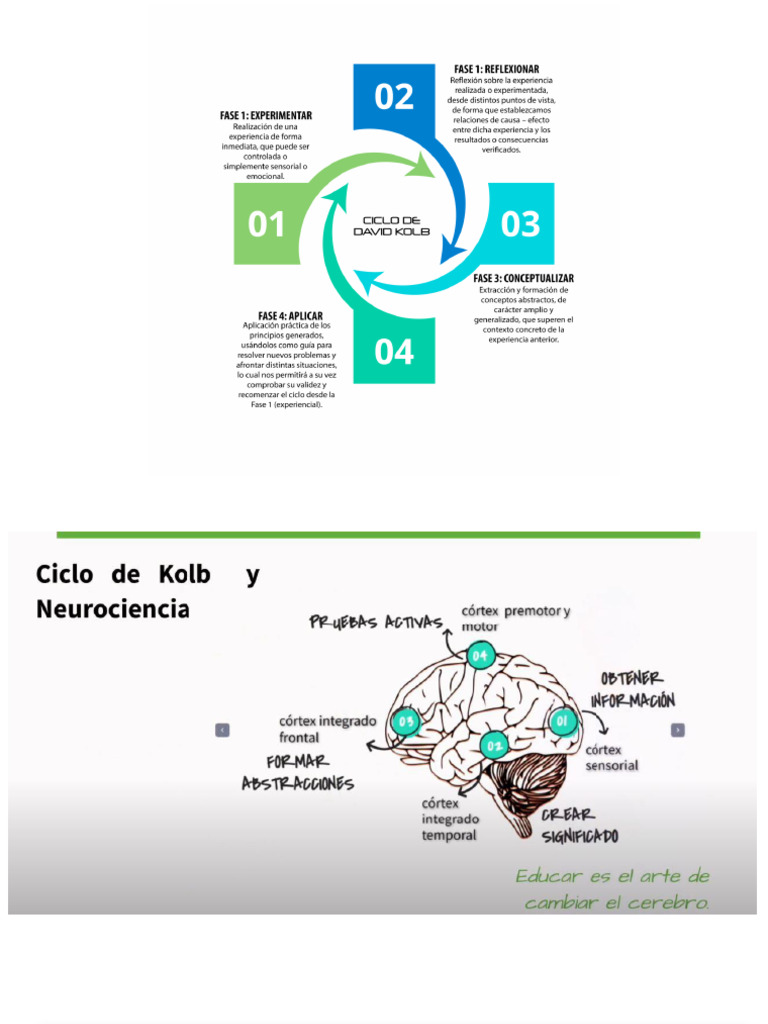 Ciclo de Aprendizaje Accion y Experiencia | PDF