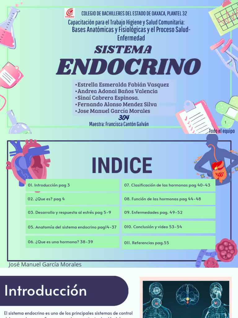 Sistema Endocrino | PDF | Páncreas | Glándula pituitaria