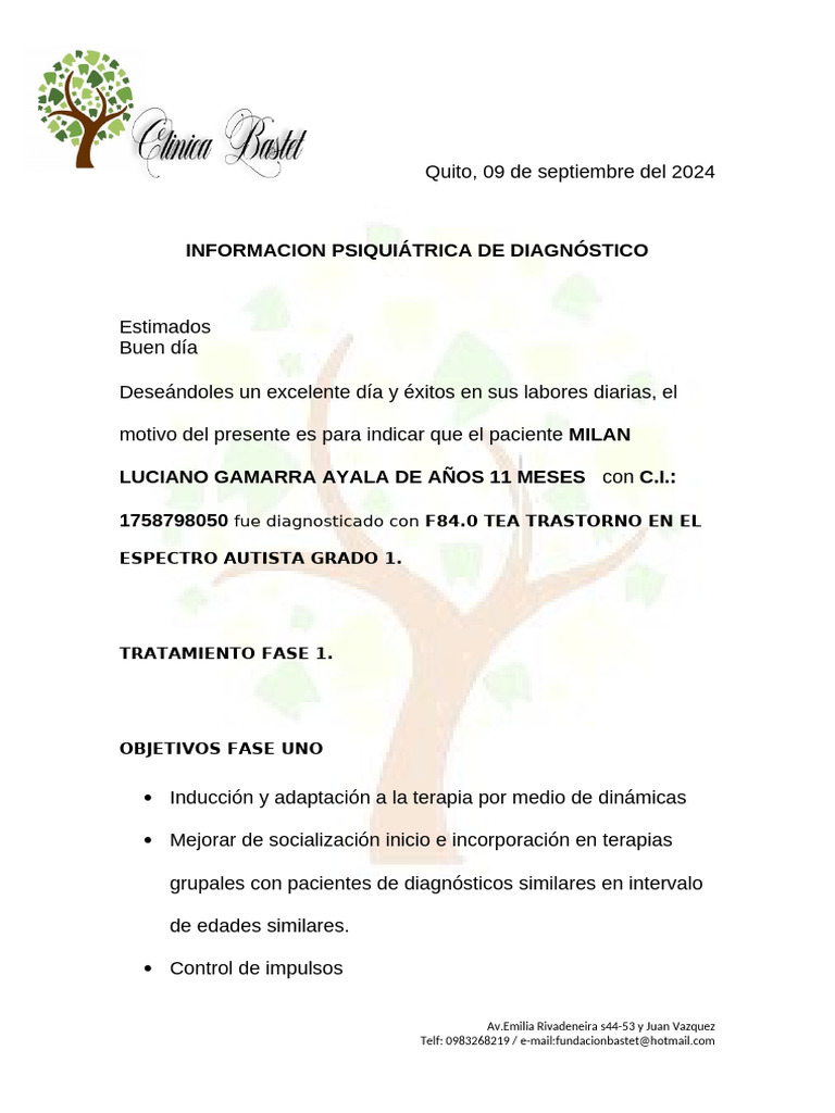 Diagnóstico y Tratamiento TEA Grado 1 | PDF