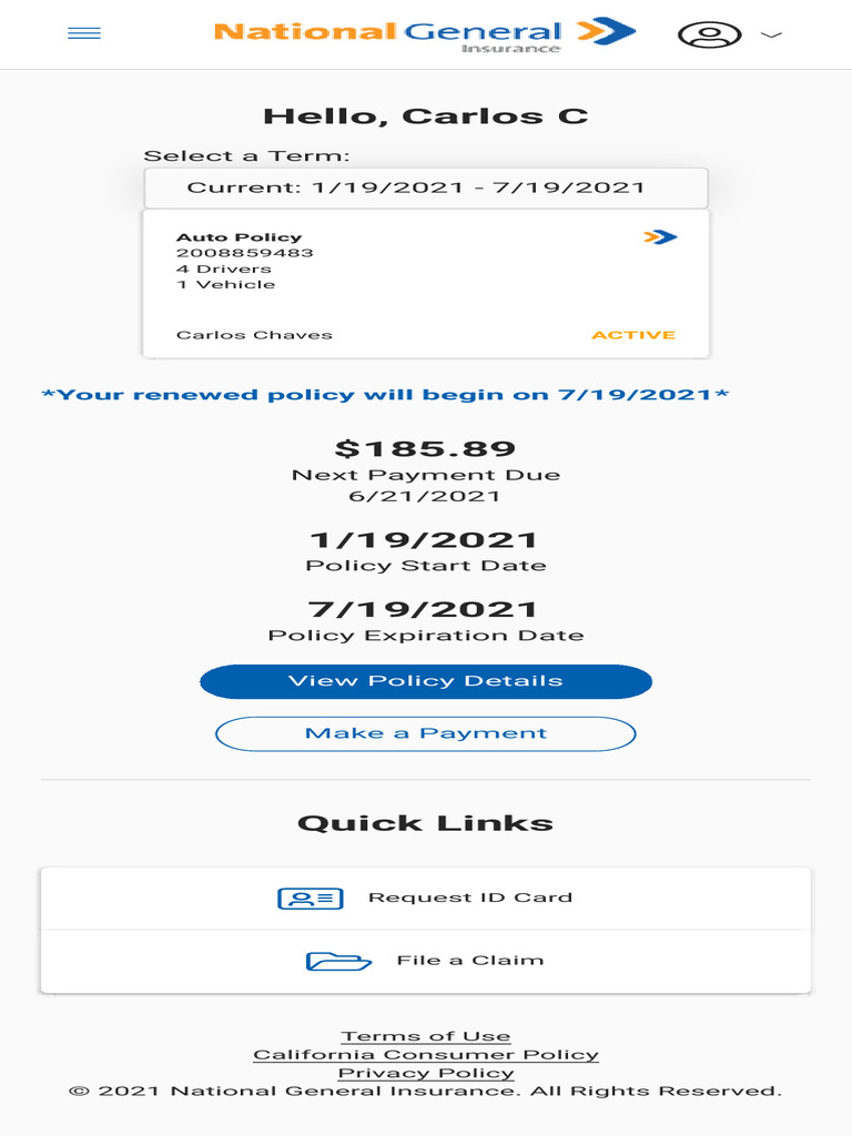 Auto Insurance Policy Details | PDF