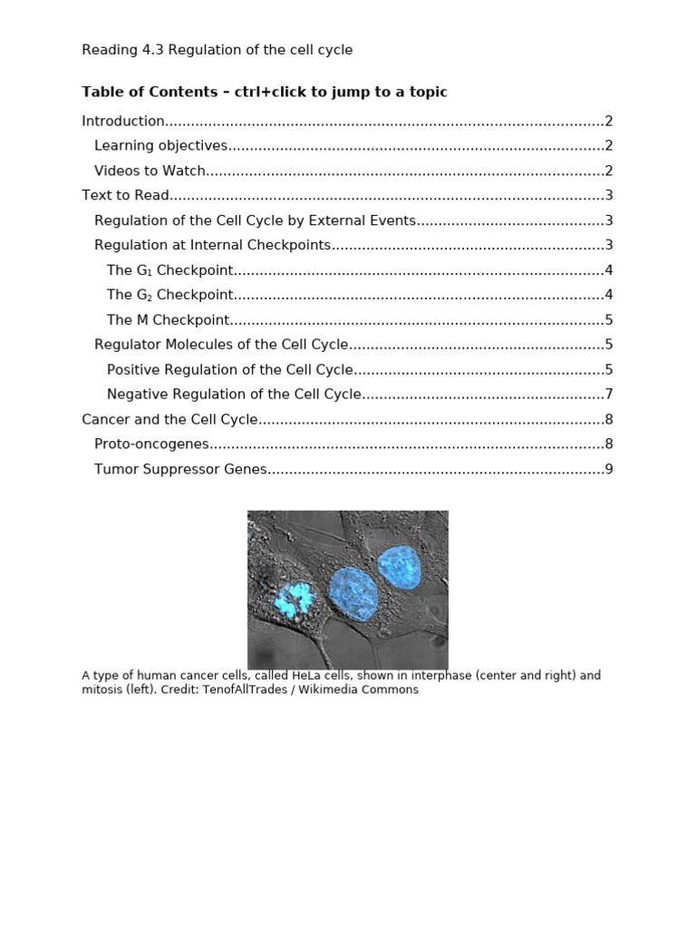 reading 4.3 regulation cell cycle | PDF | Cell Cycle | P53