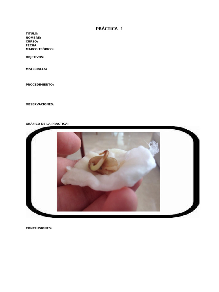 práctica-1 (1) | PDF