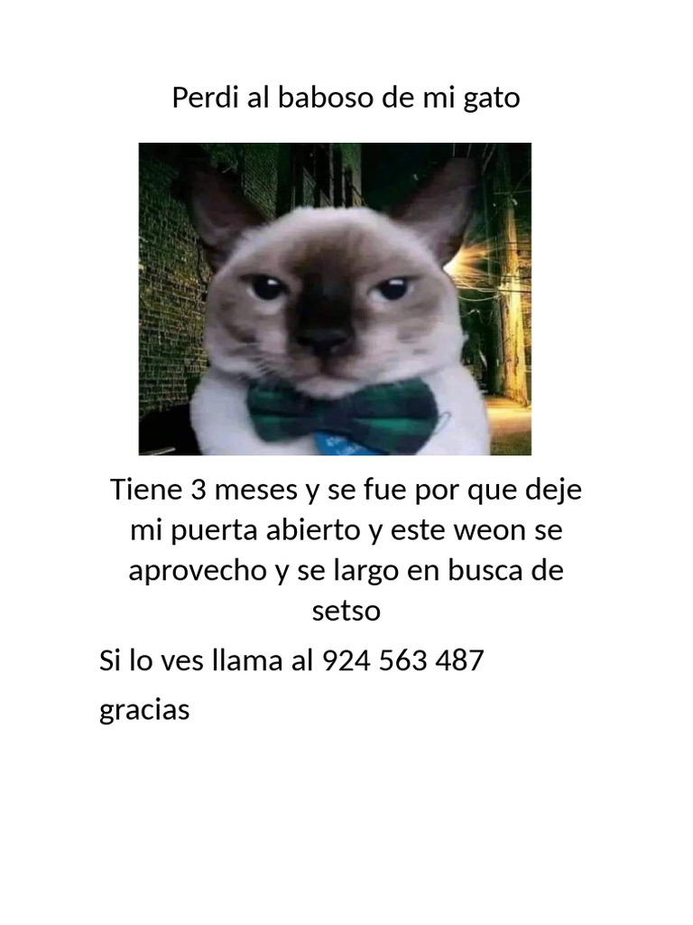 Perdi Al Baboso de Mi Gato | PDF