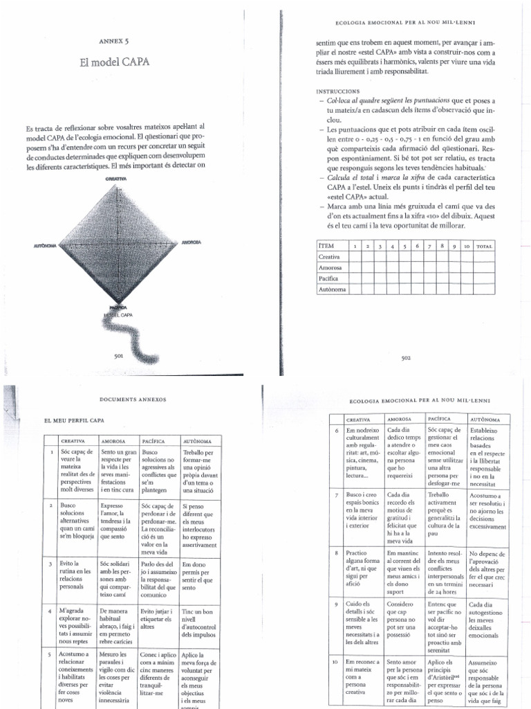 CAPA - Conangla I Soler-2011 | PDF
