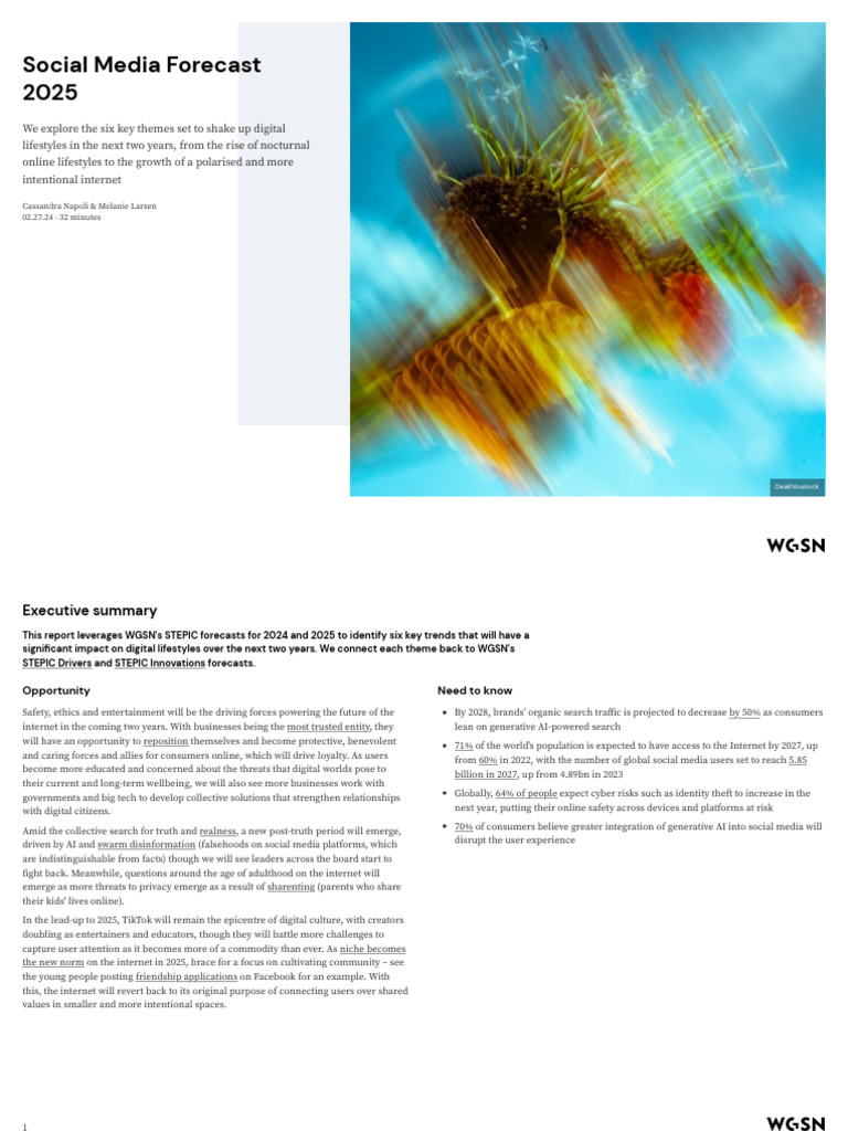 Social Media Forecast 2025 | PDF | Social Media | Popular Culture ...