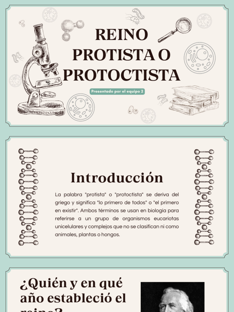Reino Protista o Protoctista | PDF | Algas | Protozoos