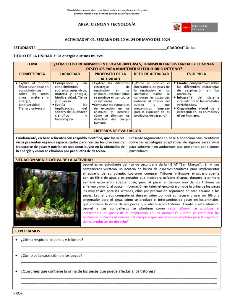 (PDF) 4°Sec - UNIDAD 3 - ACTIVIDAD 2 (CyT Explica 2024) - Cómo los organismos intercambian gases ...