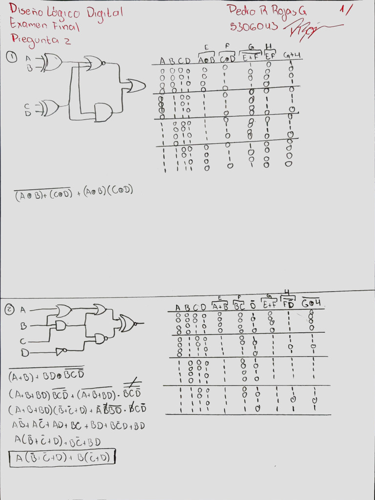 P2 Final DDL PedroRojas | PDF