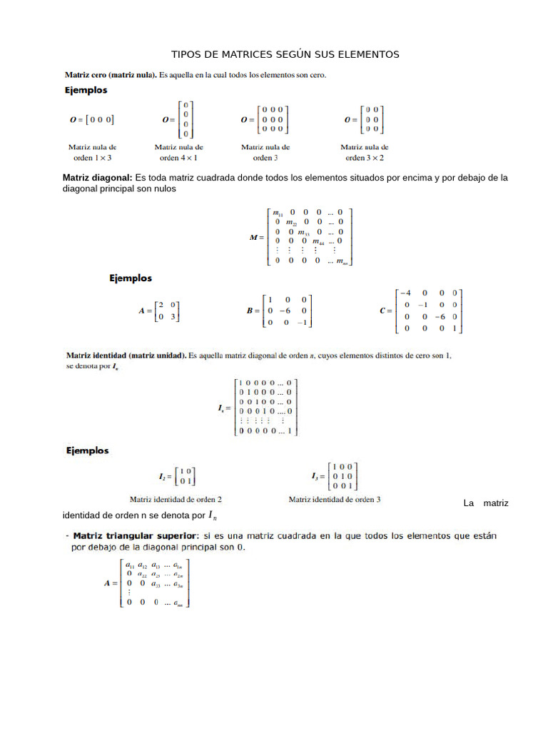 Tipo de Matrices Según Sus Elementos | PDF