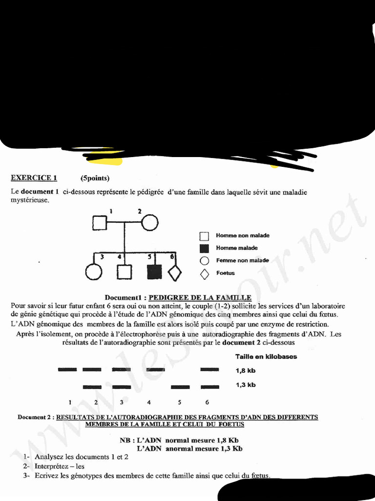 Exercice de Mise a Niveau_svt_td | PDF