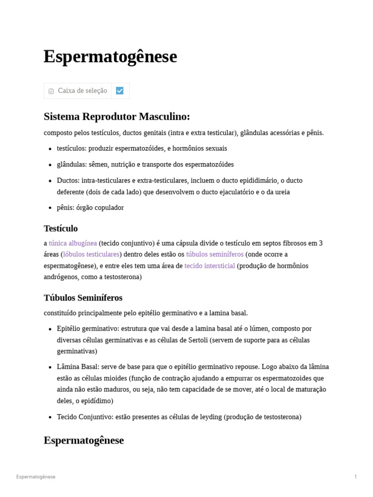 Entenda a Espermatogênese e Estruturas Testiculares | PDF | Testículo ...