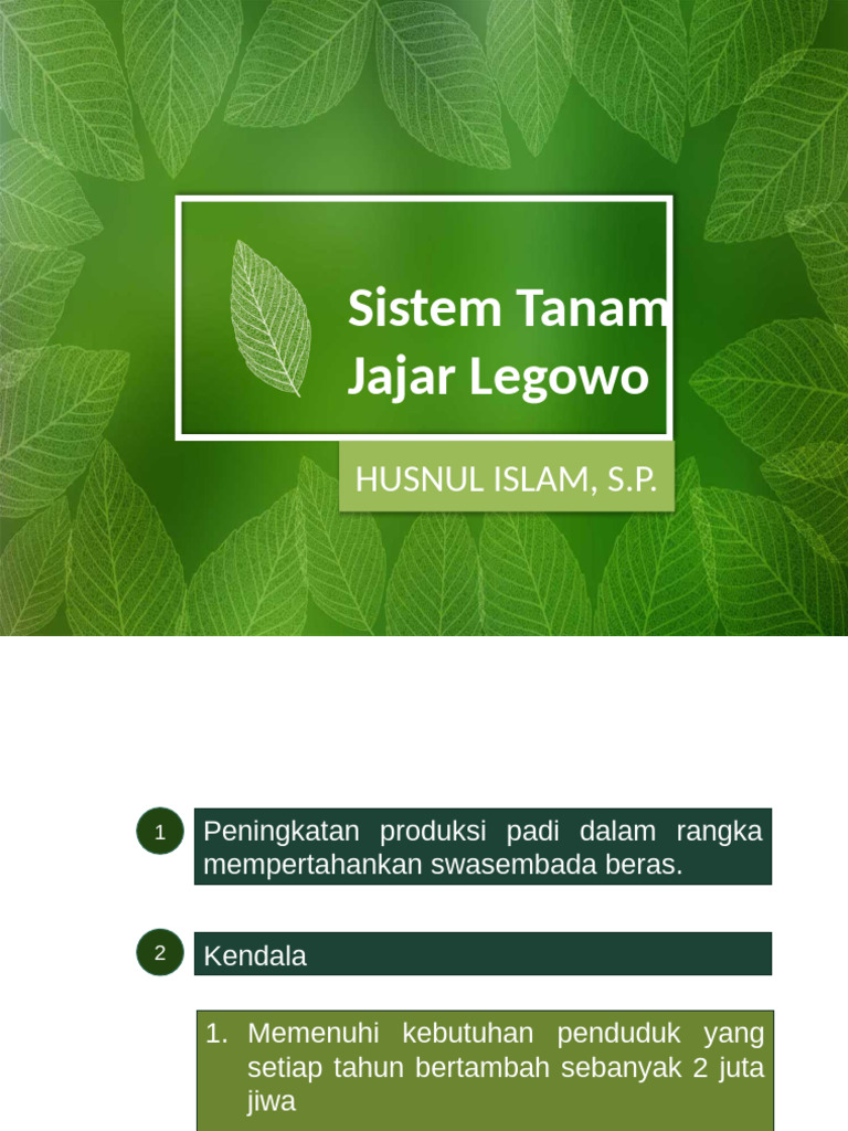 Sistem Tanam Jajar Legowo | PDF