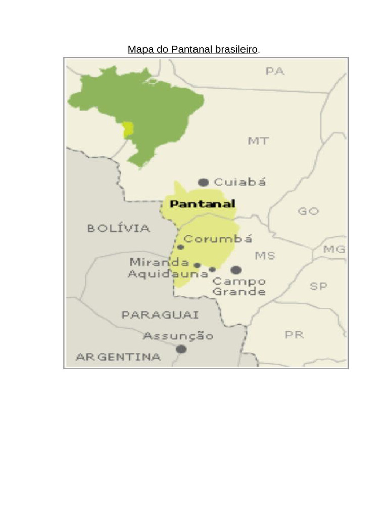 Mapa Do Pantanal Brasileiro | PDF
