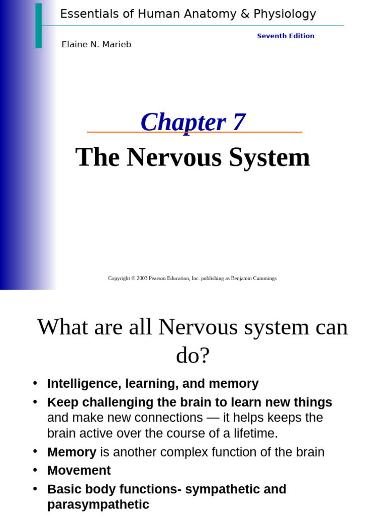 Nervous System | PDF | Action Potential | Cerebrum