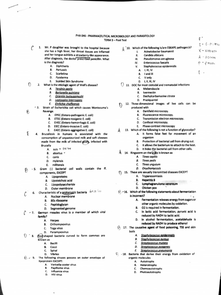 micro-post-test | PDF | Bacteria | Antibody