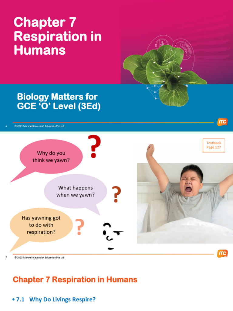 BM (3ed) PPT Slides C07 Stu | PDF | Cellular Respiration | Breathing