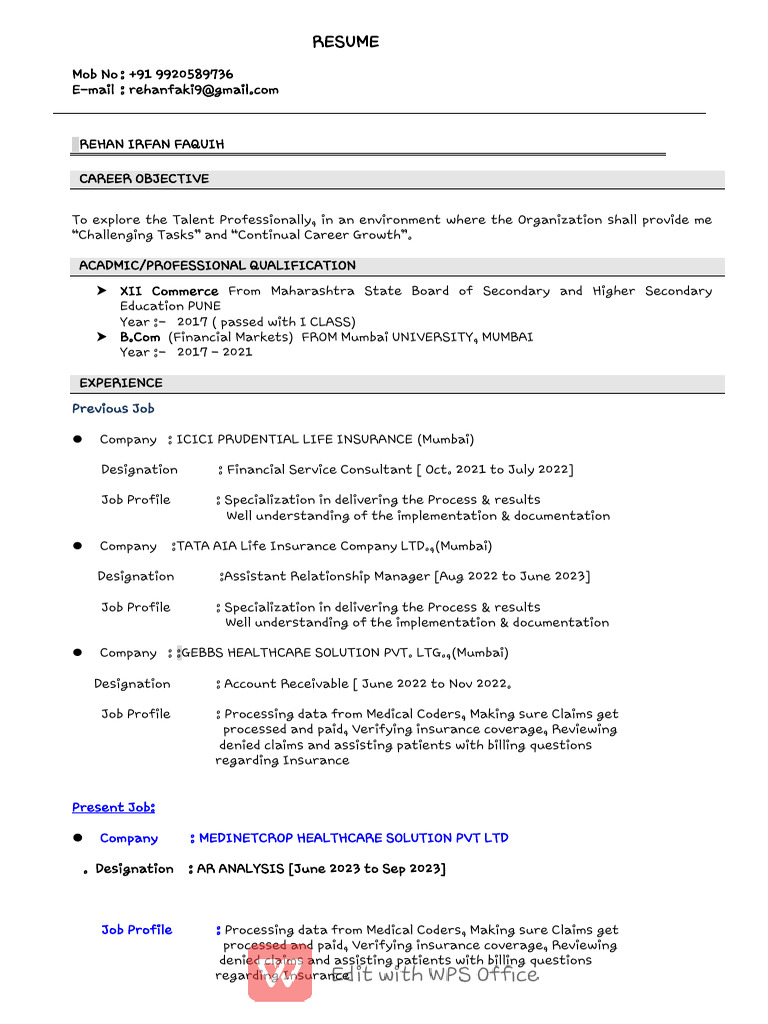 rehan resume | PDF