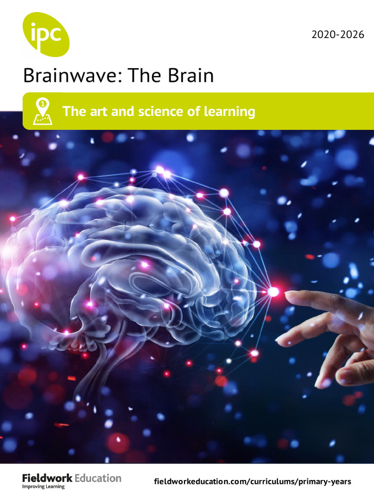 Brainwave The Brain | PDF | Learning | Teachers