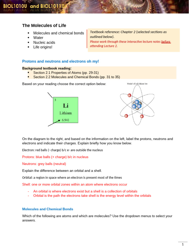 L2 Interactive Note- Molecules of Life | PDF | Nucleotides | Chemical Bond