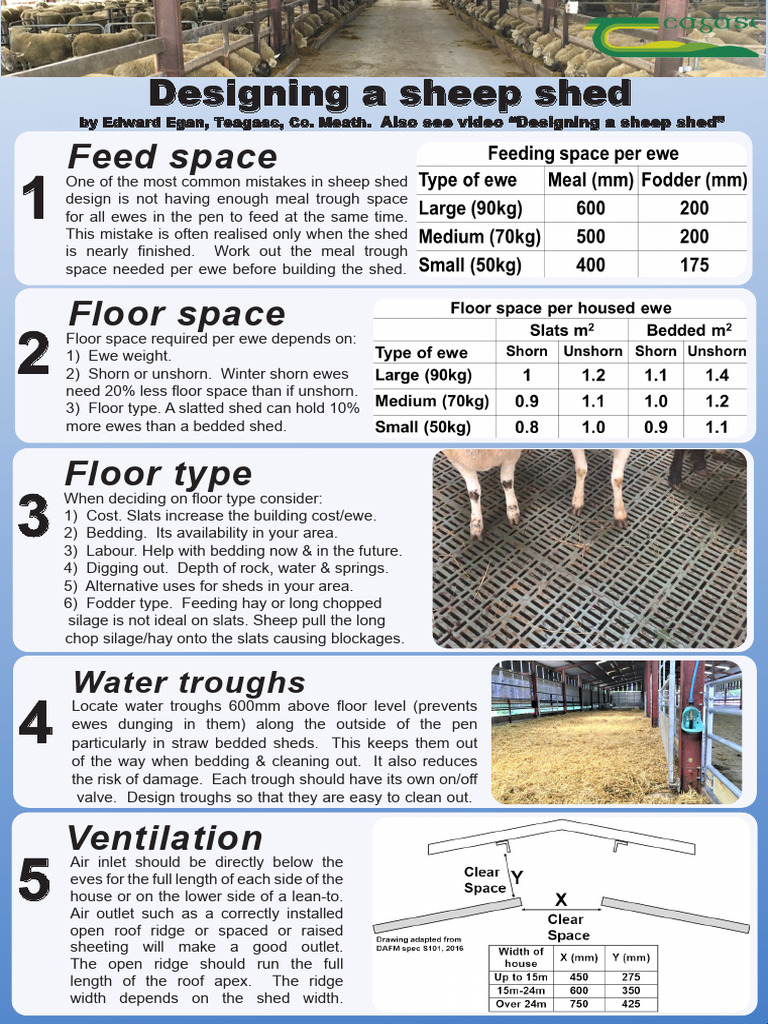 Designing A Sheep Shed | PDF | Sheep | Hay