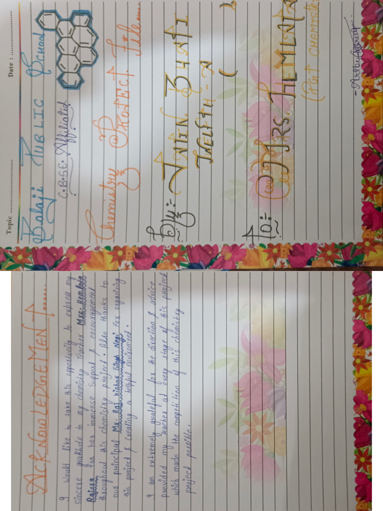 Class 12 Chemistry Project Work | PDF