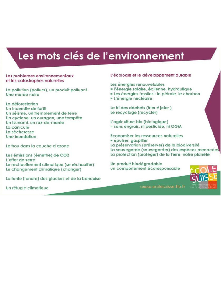L'environnement Vocabulary | PDF