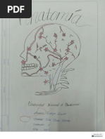 Informe1 Equipo2 | PDF