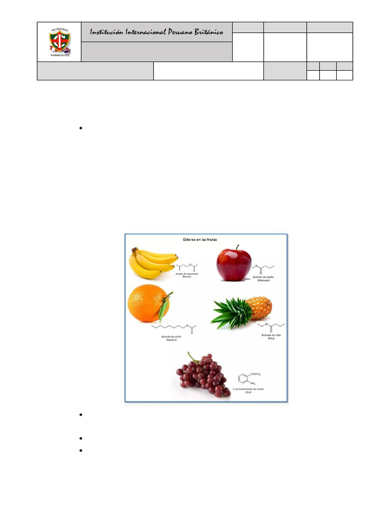 Guia de Laboratorio de Quimica N7 - 4to Iiv Unidad-2024 | PDF | Ester | Química