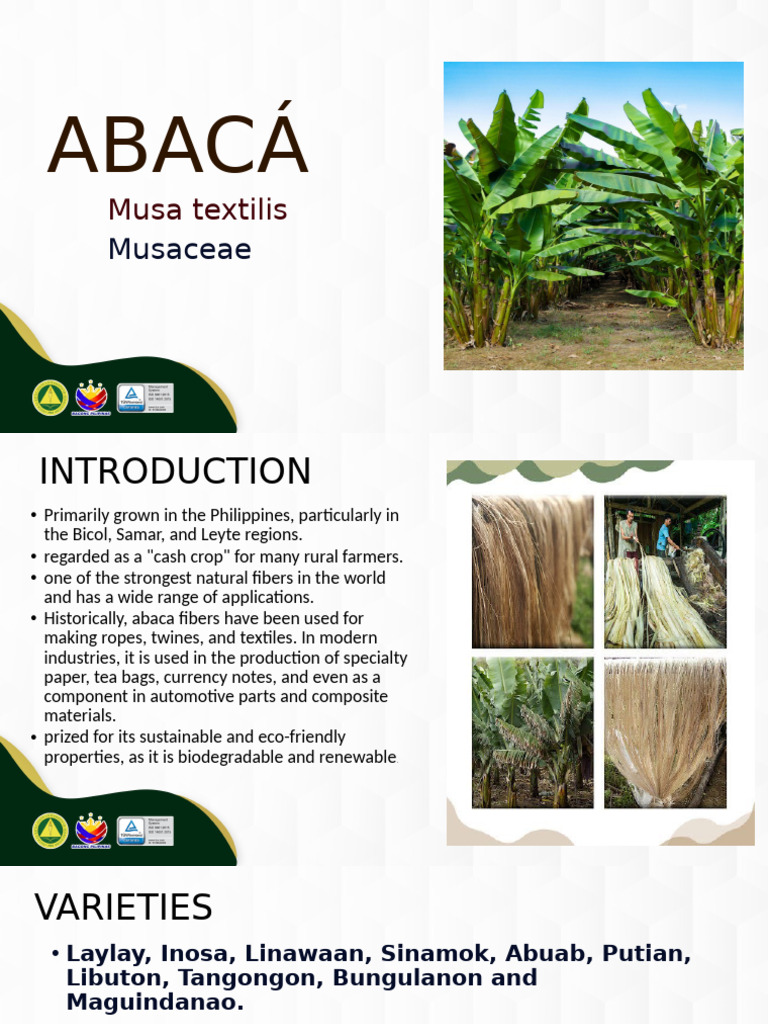 Reporting Fruits and Plantation Template | PDF | Soil | Horticulture